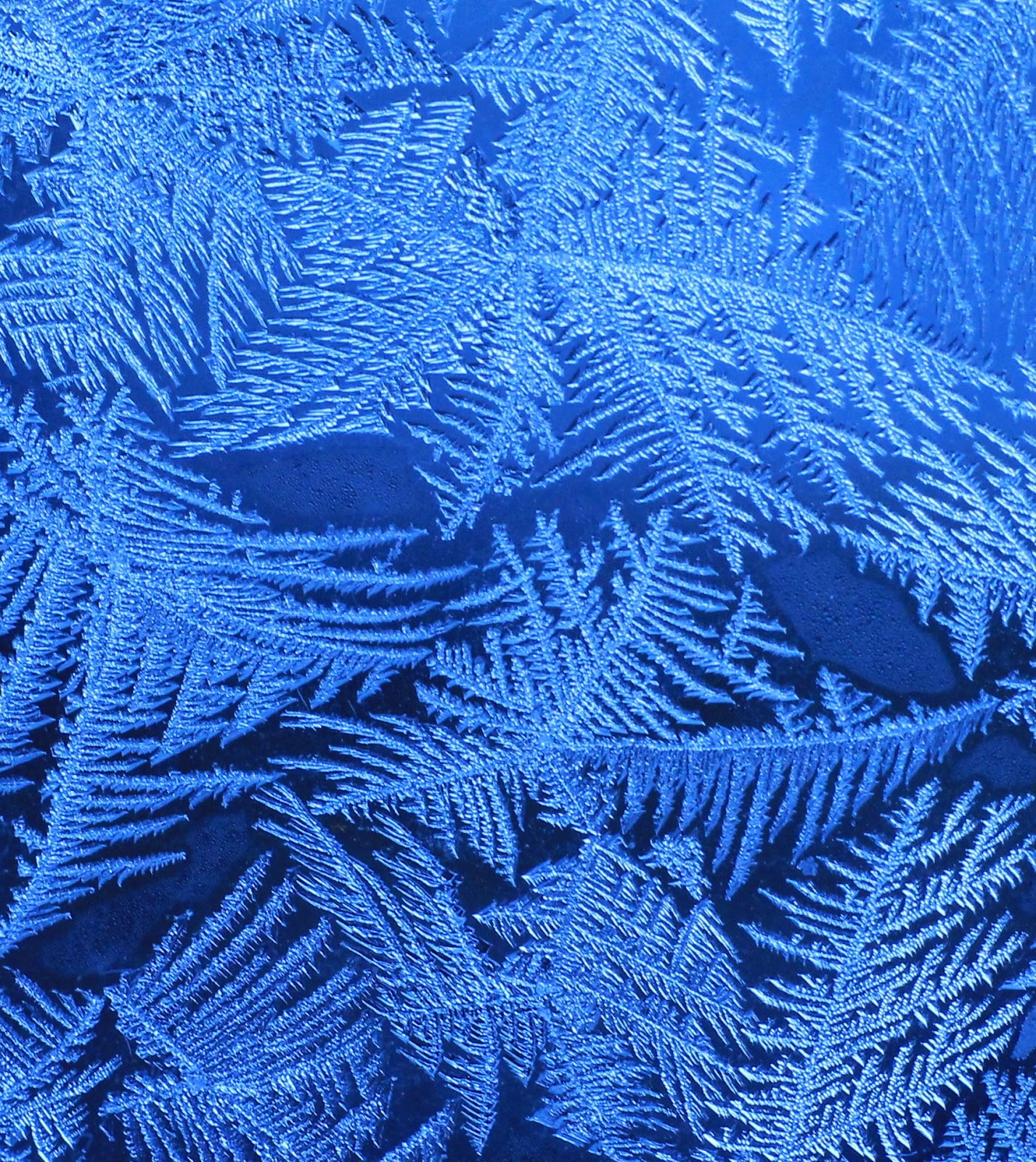 Nature Devotions : Frost