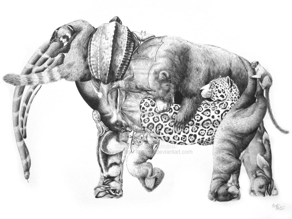 Some of the best Pencil Drawings | Designer's crowd