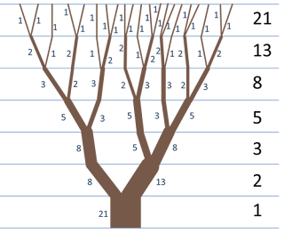 Sucesión de Fibonacci. Los números de Fibonacci