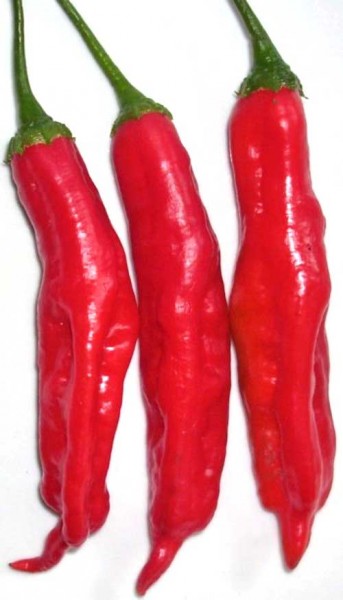 Cocina peruana y vegetariana / Peruvian vegetarian food: Instrucciones ...