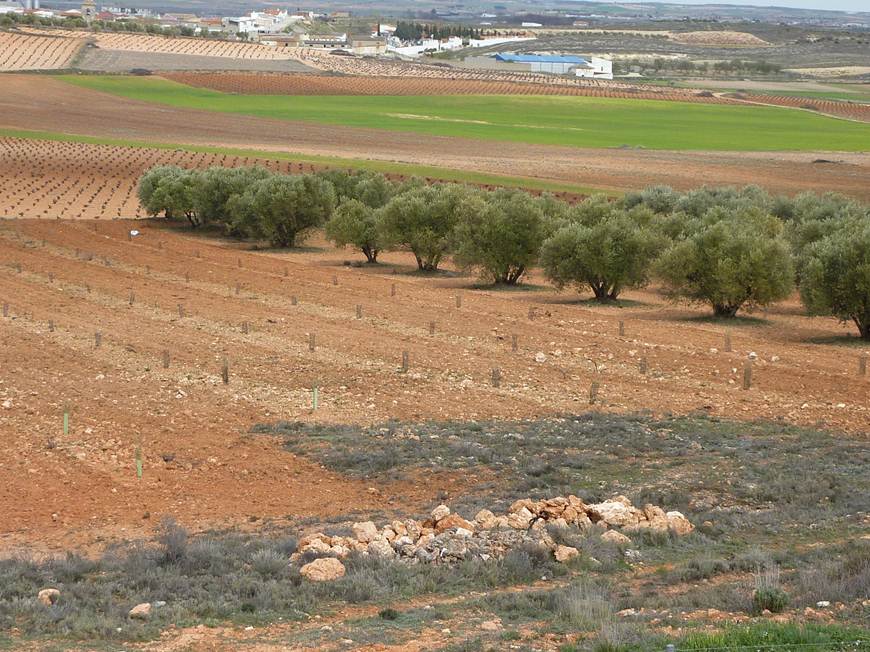 AGROACADEMICOSMY: CLASIFICACION DE LOS SUELOS SEGUN EL CLIMA,TIPO ...