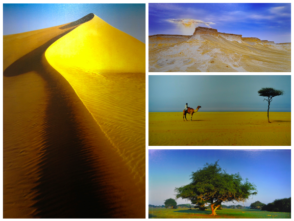 The Blue Chic: KATARA