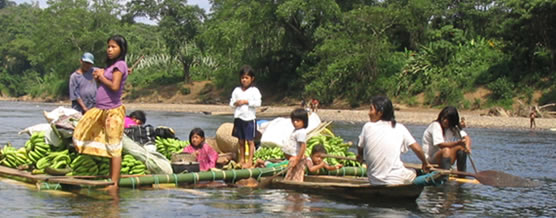 CULTURAS DEL ACUADOR : CULTURA CHACHI