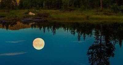 Balance of nature in a never give up perspective [23 Photos] - Our ...