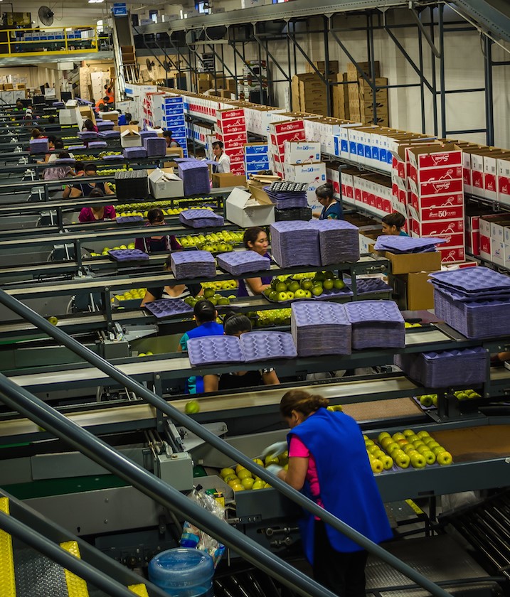 WSDA AgBriefs: Day of fruit inspection reveals importance of service ...