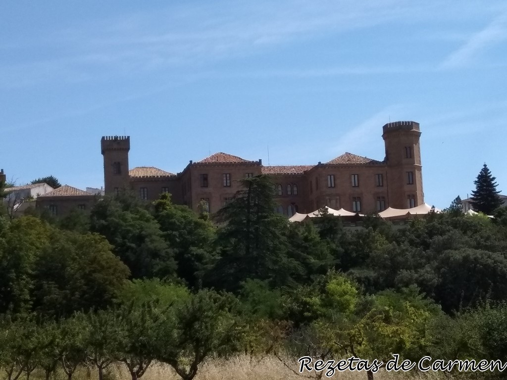 Descubriendo el pacharán navarro: visita a la destilería Zoco.