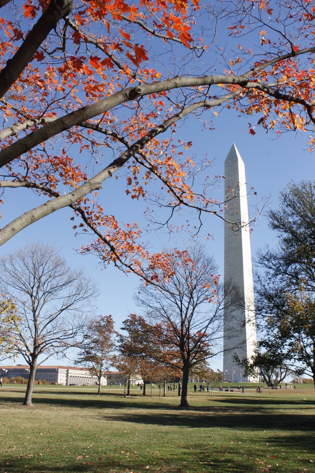 DC Scorpio Blog: Washington DC Fall Foliage 2016