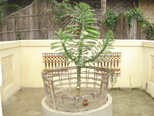 Northeast Indian Tribes and people: BODO TRIBES