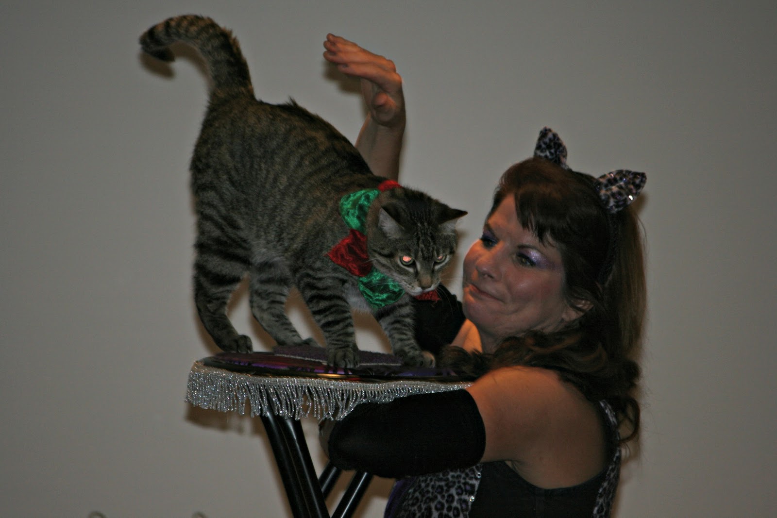 Two Bears Farm and the Three Cubs: The Cat Circus Comes to Roanoke