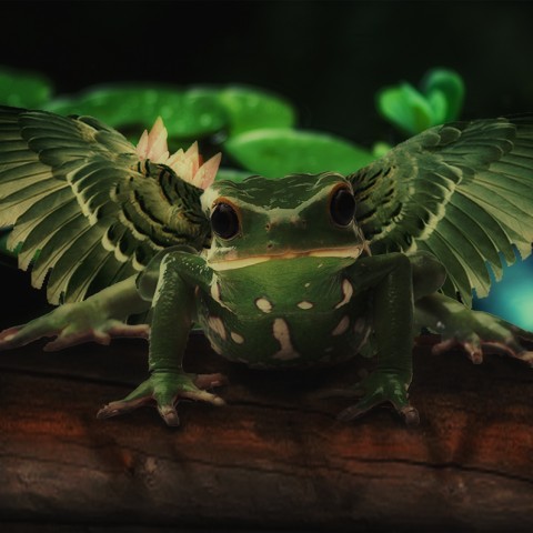 Write Now Write Later