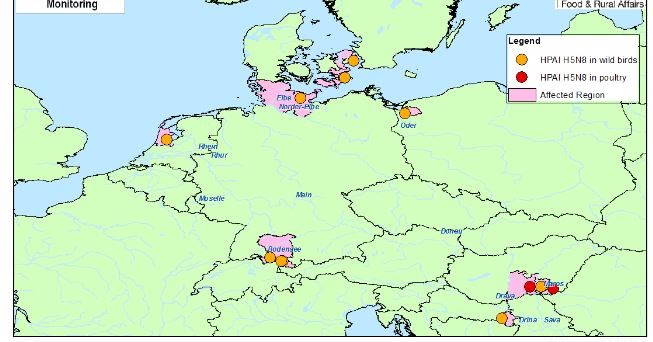 Avian Flu Diary: DEFRA: Updated Assessment Of H5N8 In Europe