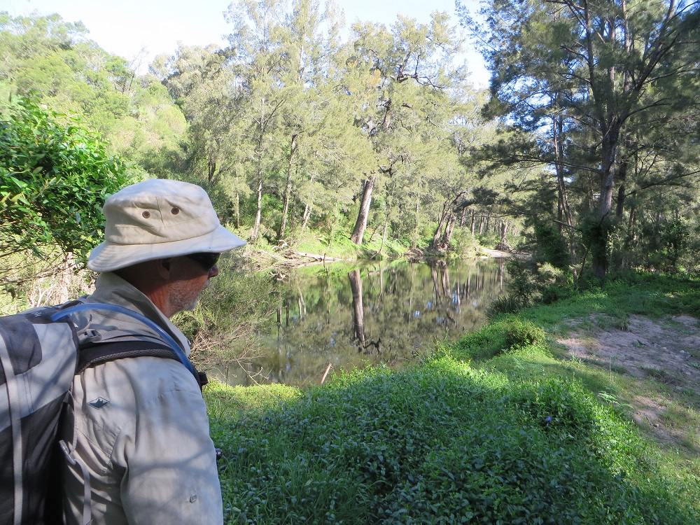 Bega Valley Bushwalkers 2015 archive: 27 September - Along the Brogo River