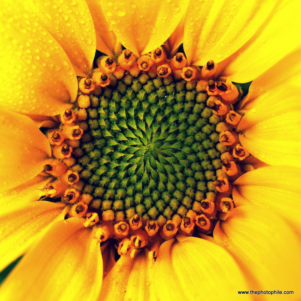 The Photophile: January 2013