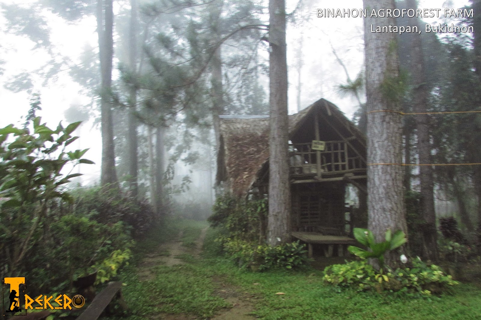 TREKERO: THE 20 MUST-VISIT TOURIST DESTINATIONS IN BUKIDNON