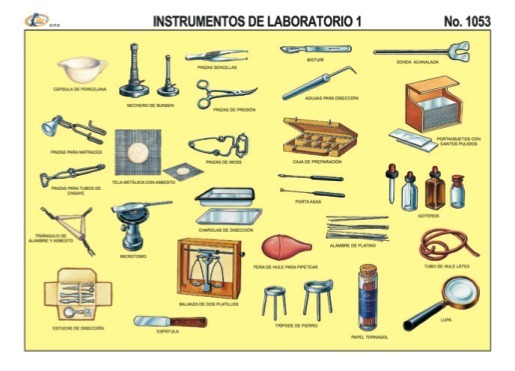 El Blog de 5°- La Profe Ana: marzo 2019