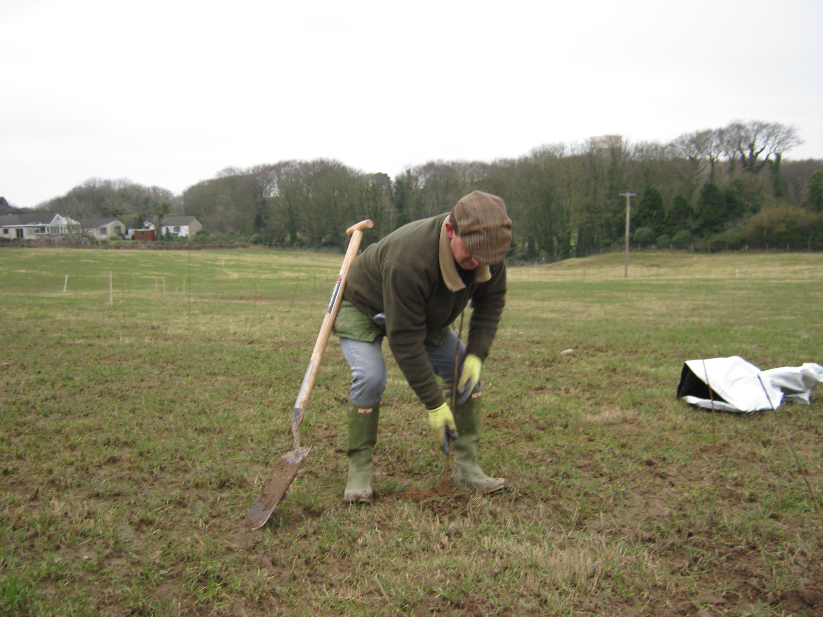 Lord Belmont in Northern Ireland: Tree-Planting