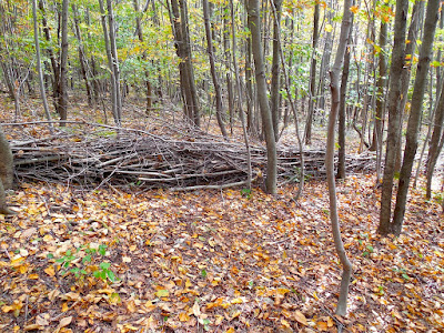 Life is Good : ): A rainy walk and fingerprints