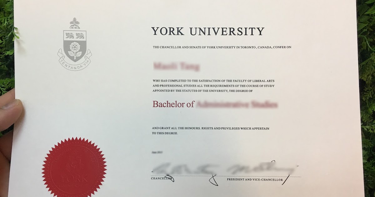 York University fake degree certificate