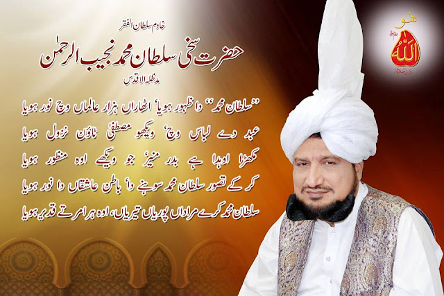 Sultan Bahoo: Sultan Bahoo