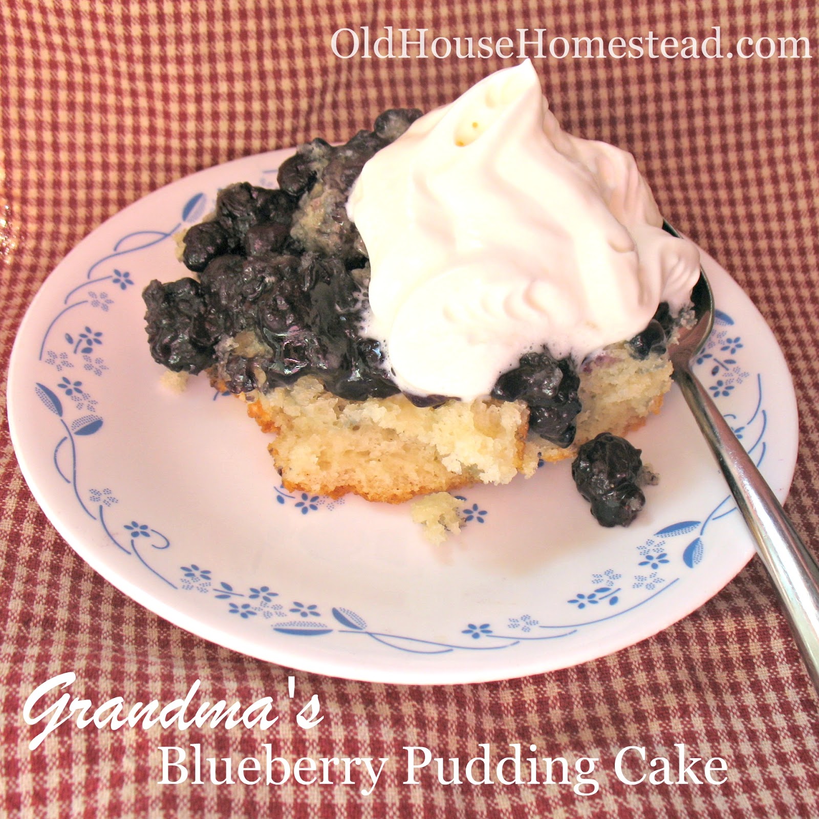 OLD HOUSE HOMESTEAD: Grandma's Blueberry Pudding Cake