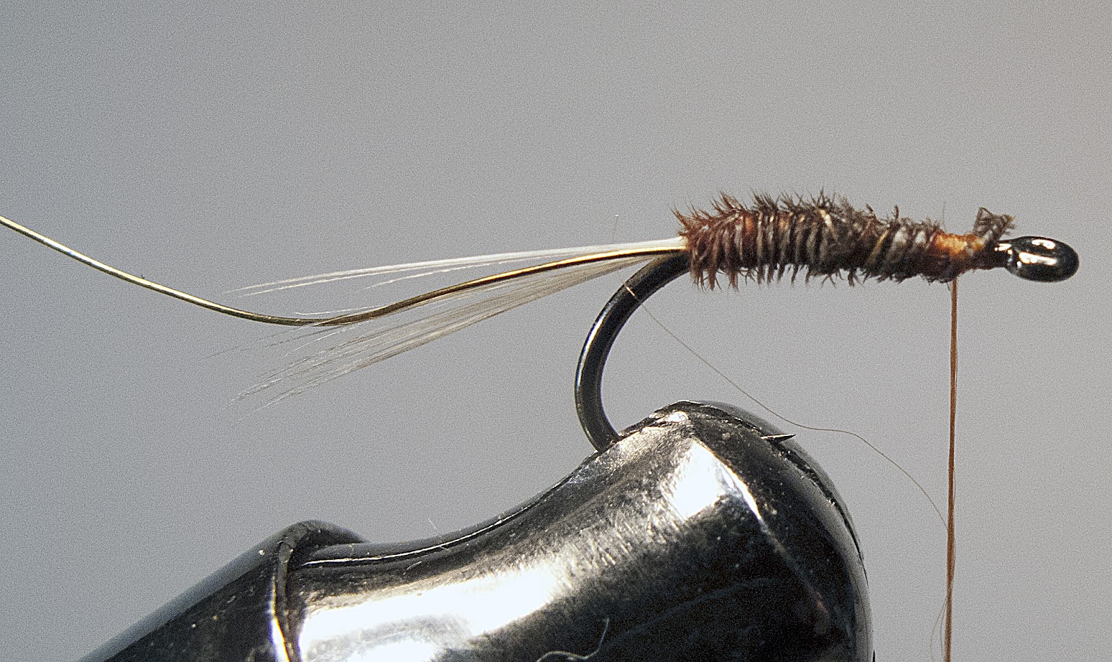 Dry Fly 'Expert': A Traditional Anatomy...