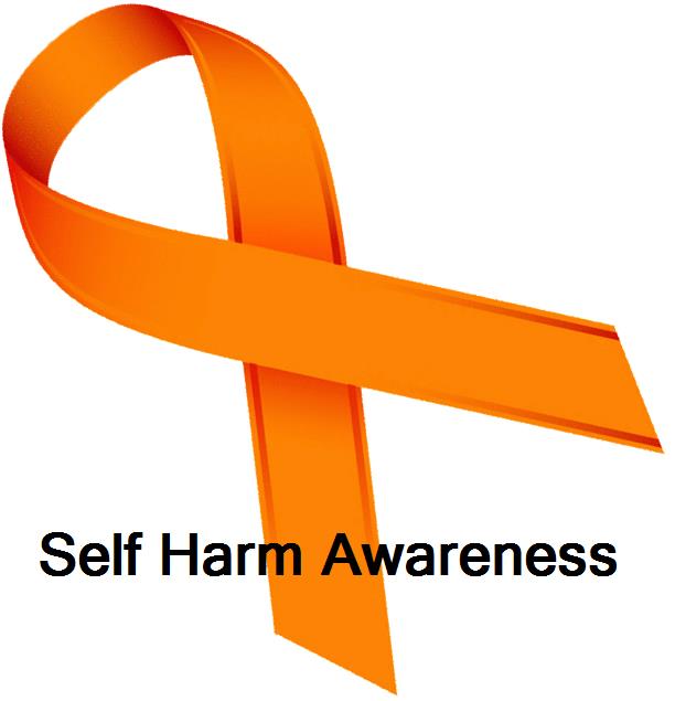 Self Harm Recovery Ribbon
