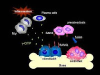Disorders of Neurotransmitters Diseases Review