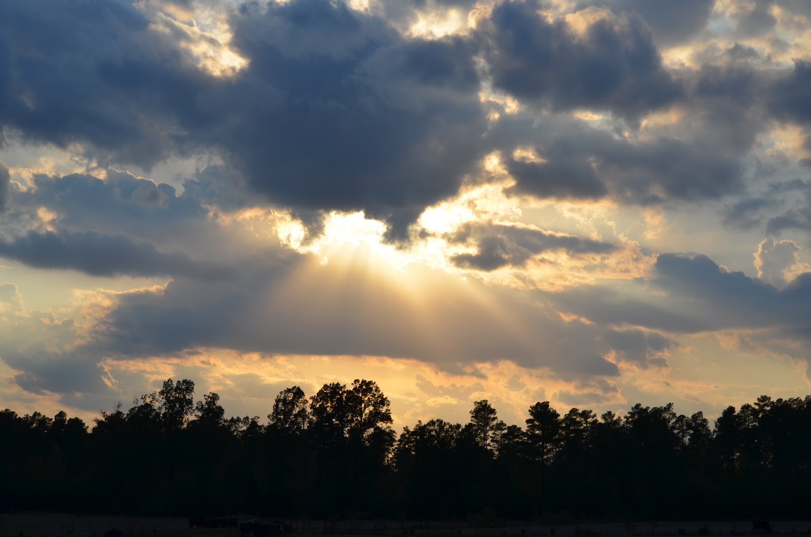 Partly Cloudy Sunny Day Symbol Pictures