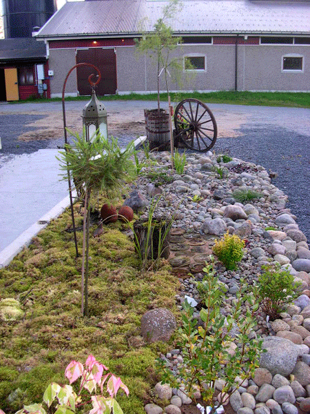 My rented garden: En rabatt jag gjorde i min gamla trädgård..
