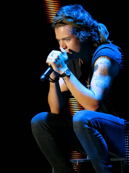 One Direction Girls ♥: Concierto en Santiago de Chile.-Where We Are ...