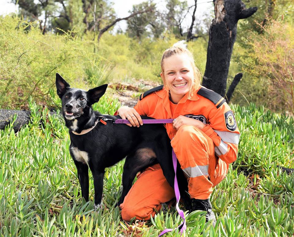 Search and Rescue Dogs Western Australian SES