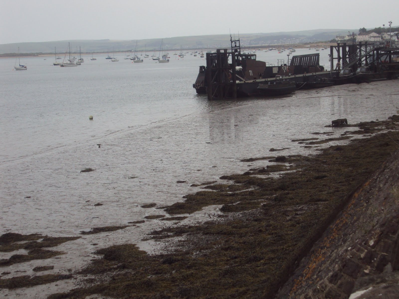 How to be slim and still eat sausages: Cycling the Tarka Trail, Devon ...