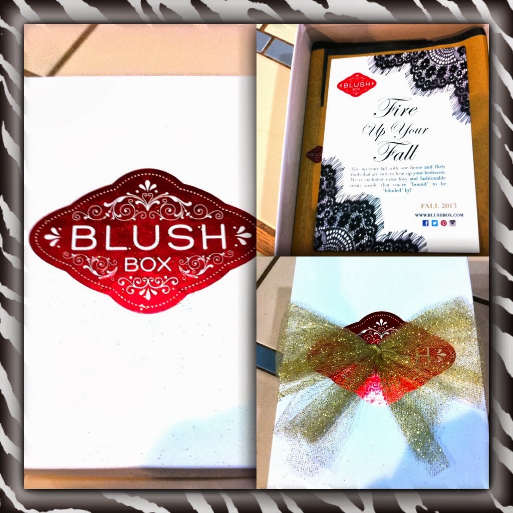 Tickled Pink in the Rain: "Fire Up Your Fall"- Fall Blush Box Review