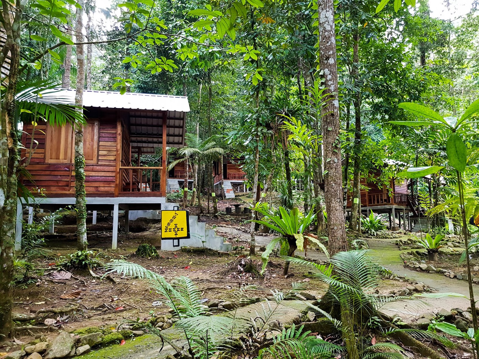 2D1N Endau-Rompin National Park via Selai : Waterfalls Paradise ...