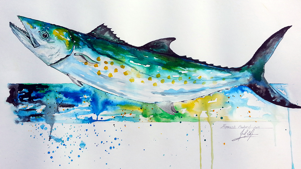 A Year On The Fly: Spanish Mackerel Watercolor