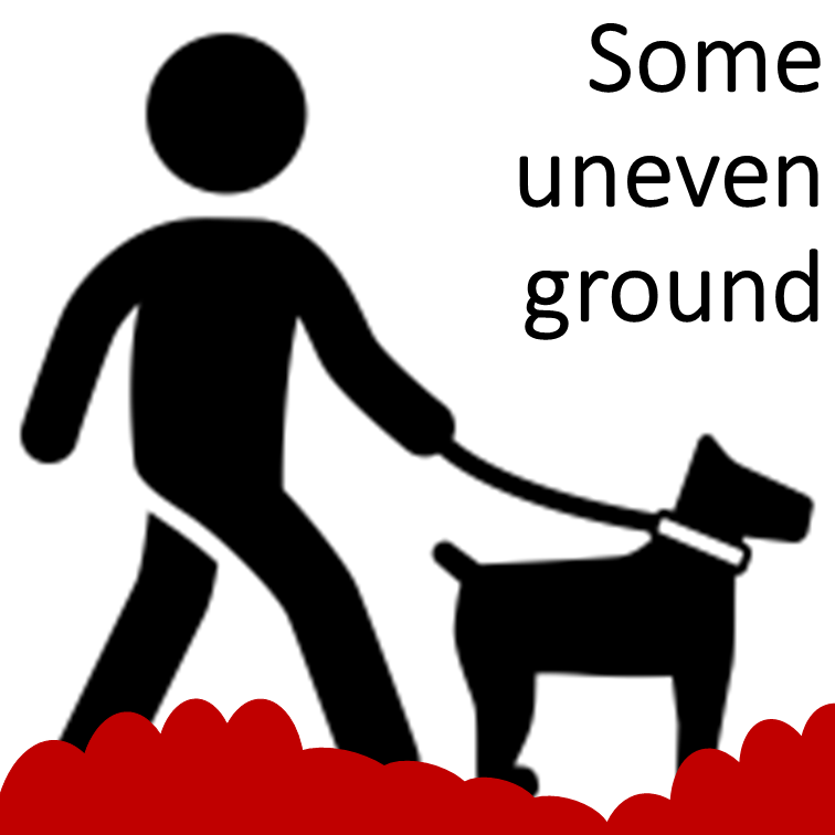 Stroll - Llanbedrog Headland, visiting the "Iron Man"