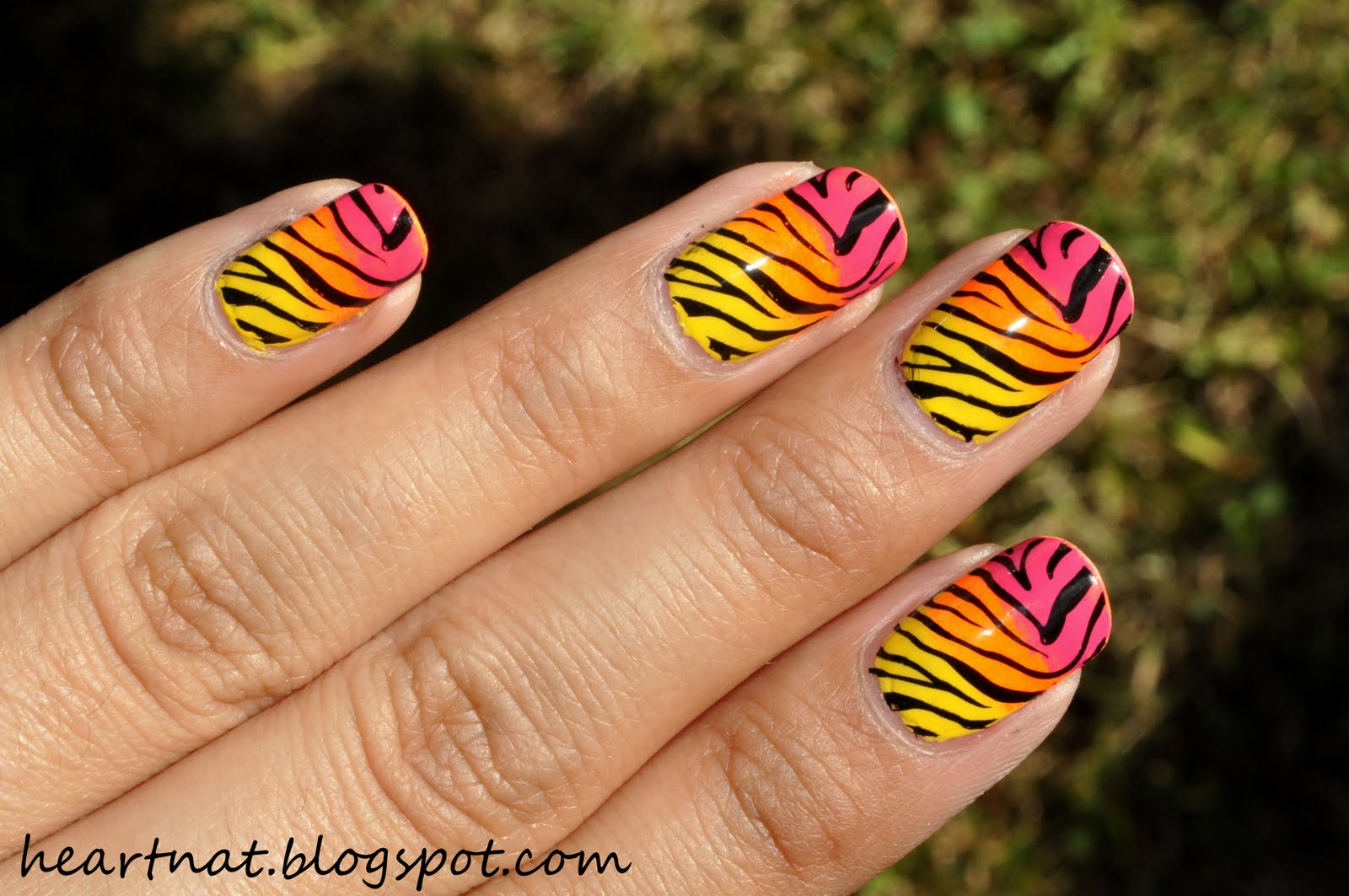french nail art: Gradient Zebra Mani