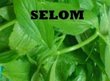 Anim Agro Technology: SELOM - TESTIMONI