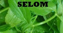 Anim Agro Technology: SELOM - TESTIMONI