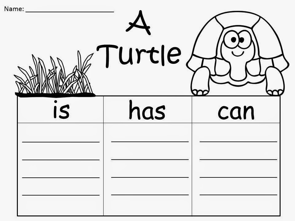 Fairy Tales And Fiction By 2: Have A Turtle-rific Summer Everyone!