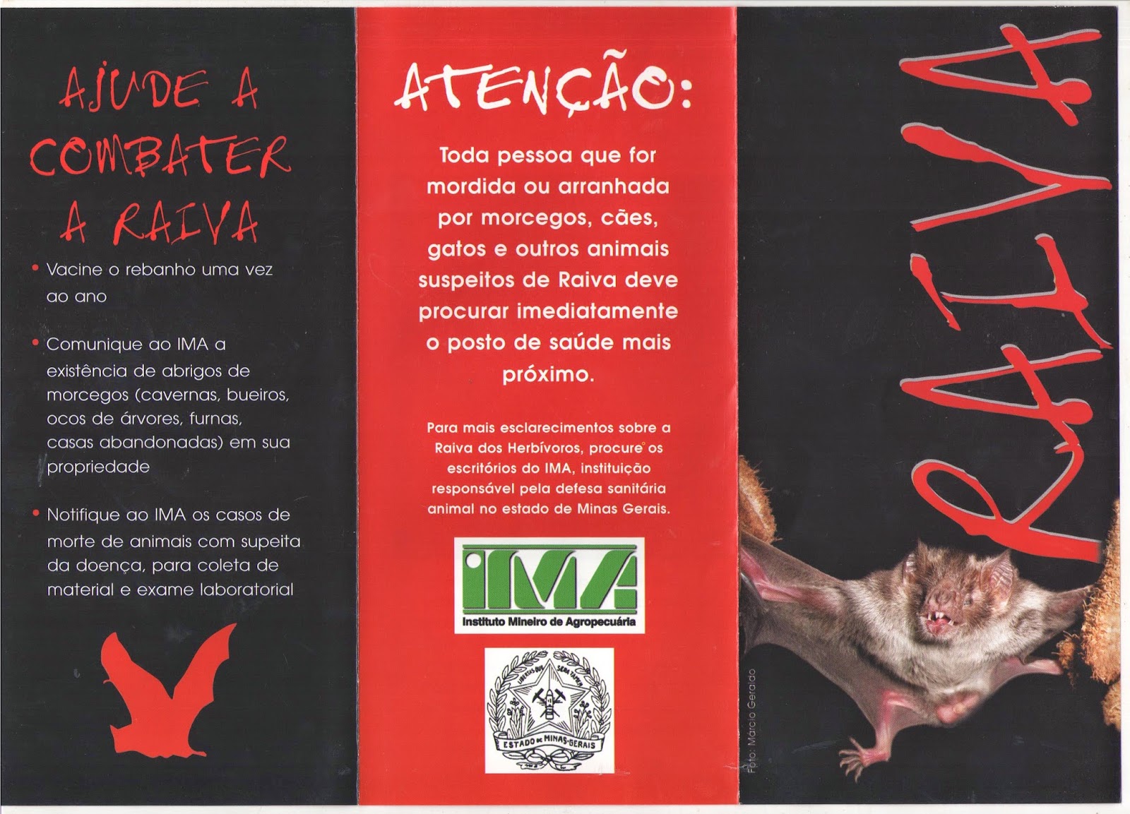 Prefeitura Municipal de Guapé