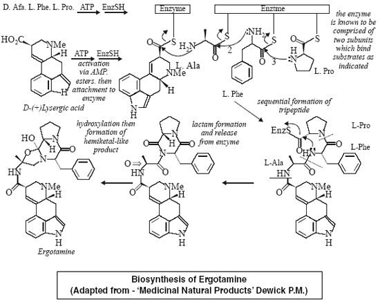 Ergot Alkaloids ~ Pharmacognosy | Plants | Herbal | Herb