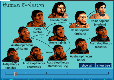 OMICS Publishing Group: Overview of Human Evolution