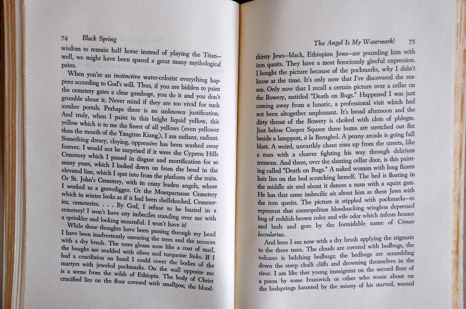 Structure and Imagery: Black Spring: The Angel Is My Watermark! by ...