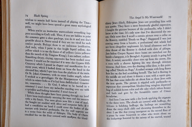 Structure and Imagery: Black Spring: The Angel Is My Watermark! by ...