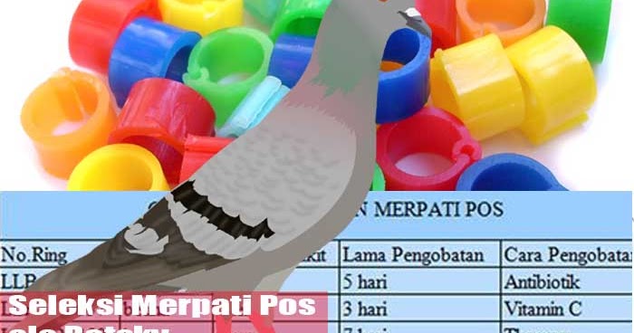 Seleksi Merpati Pos ala Retsky