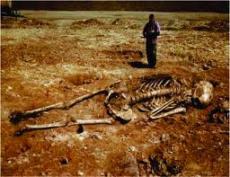 BLOG PONTO DE LUZ : OS NEFILINS - SERÁ QUE REALMENTE EXISTIRAM?