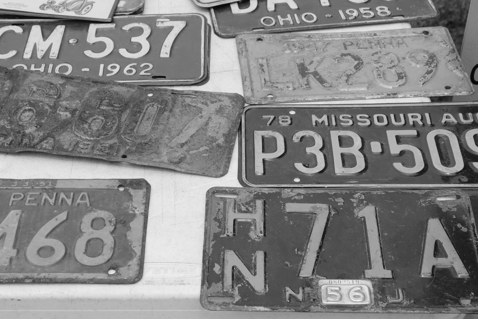 The Chronicles of Mustang Sally