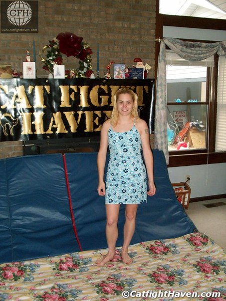 Catfight Br Fotos Catfight Wife X Wife