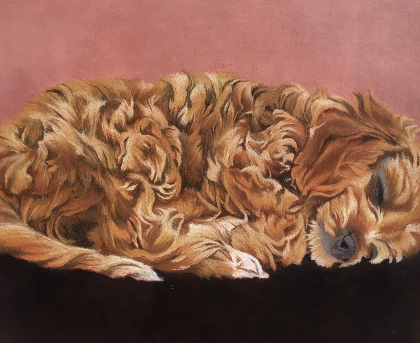KJF DESIGN Fine Art: Recent Colored Pencil Pet Portraits